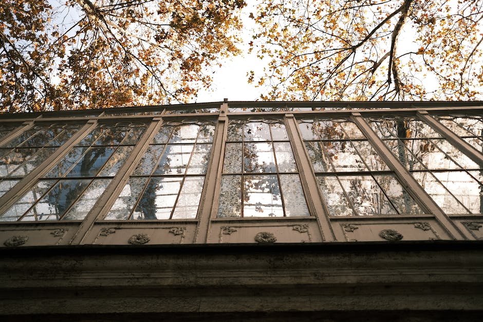 What Is The Difference Between Tai Chi And Tai Cheng - Homey Gears