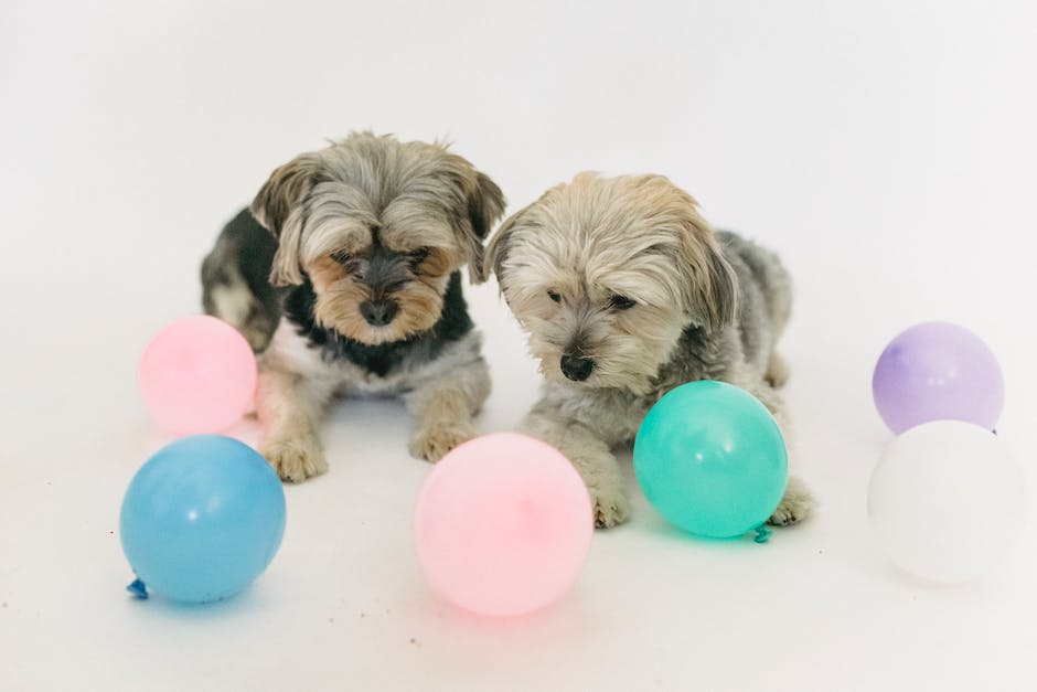 What Kind Of Bat Does Negan Have - Homey Gears