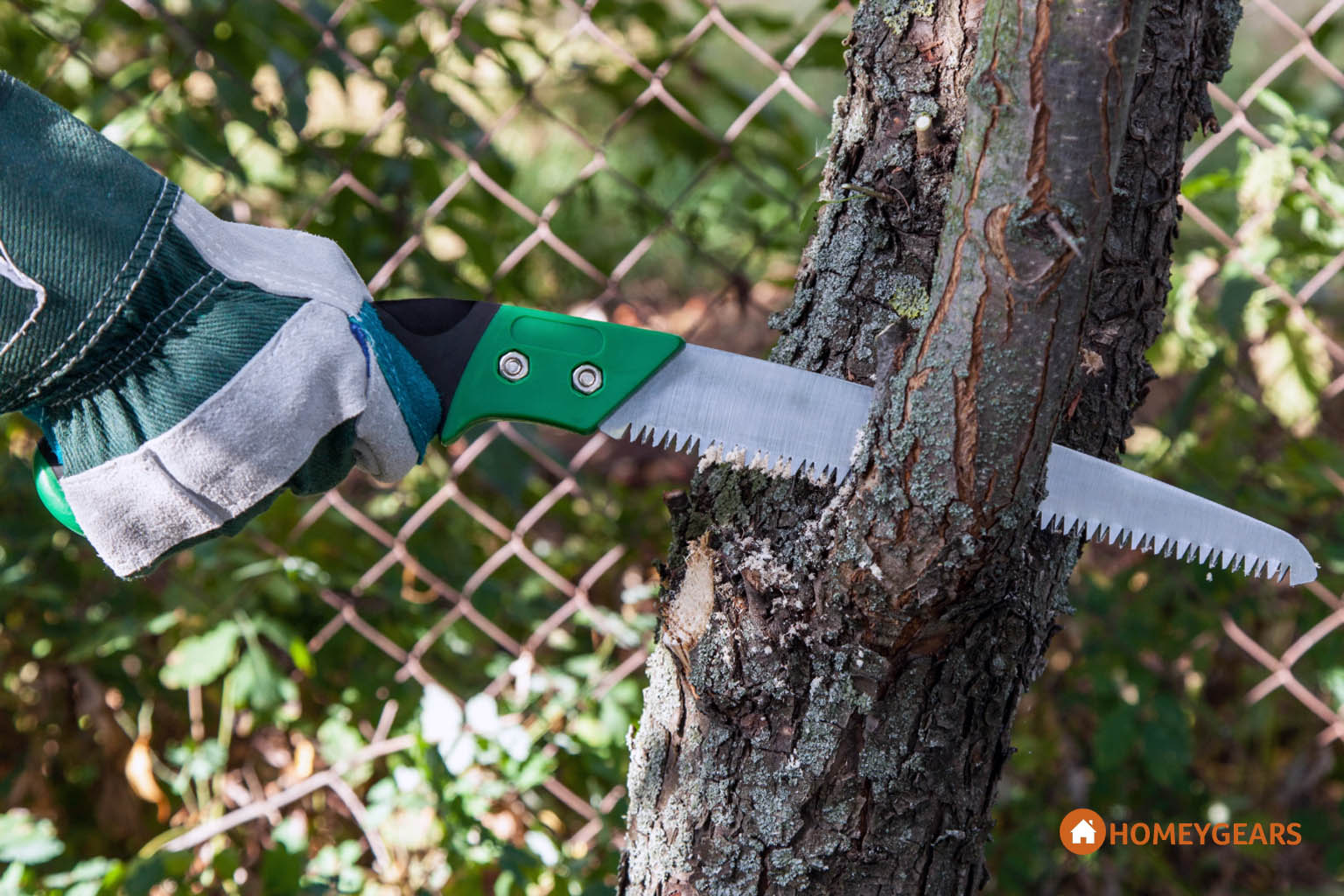 Best Hand Saw for Cutting Tree Trunks | Review Guide 2026